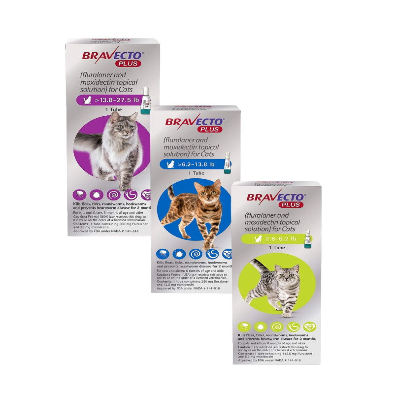 Bravecto Plus Topical Solution for Cats - Pet VM